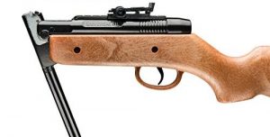 Tienda de Armas de Aire Comprimido | Balines, CO2, Perdigon